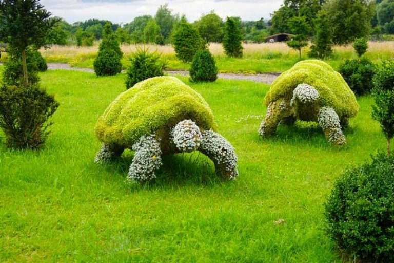 Необычный сад своими руками: идеи для дачи, чтобы удивить всех!